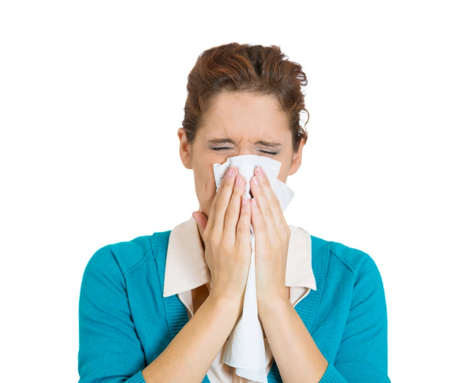 Stifle Those Seasonal Sniffles Naturally- an Allergy Season Survival ...